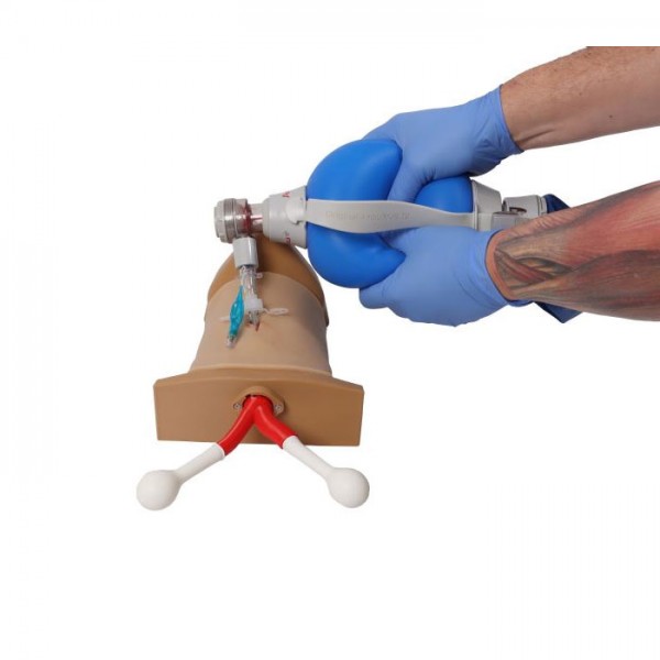 Crico Chris - levensechte Cricothyrotomie trainer - regelmatig gebruik